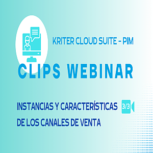 Instancias y características de los canales de venta - Kriter Cloud ...